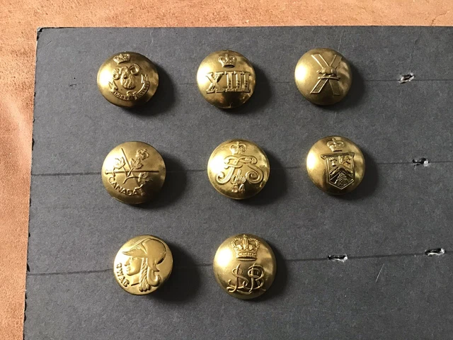 ROYAL CANADIAN BRASS BUTTONS x8 Large, Collection Job lot Army Military ...