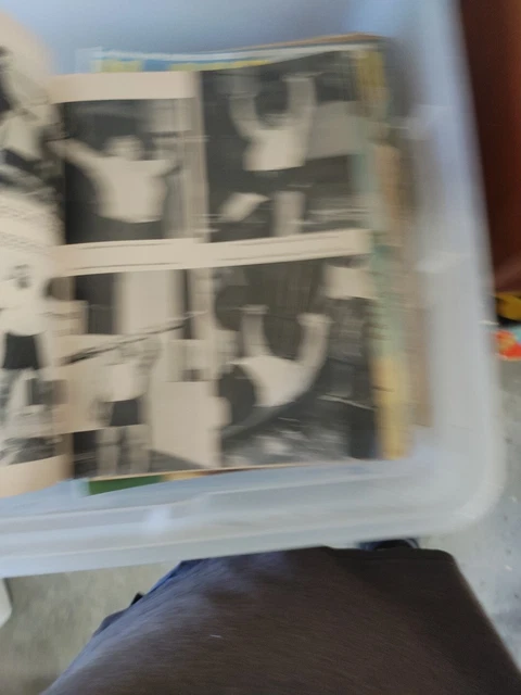 Muscular Development