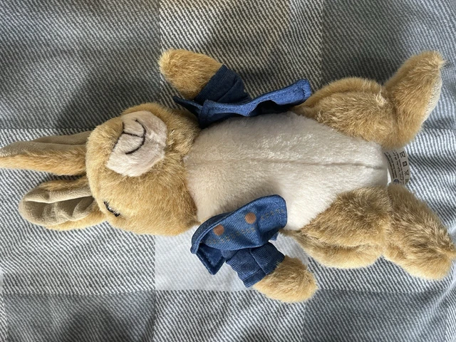 BEATRIX POTTER PETER Rabbit Soft Toy 24cm (PO1503) £21.22 - PicClick UK