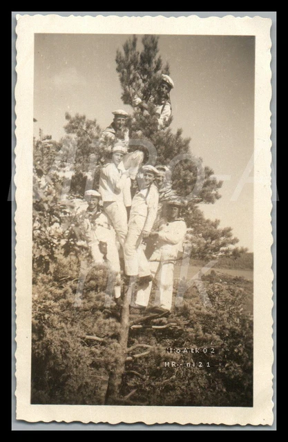 FOTO, WK2, TORPEDOBOOT "Möwe", 7 Matrosen in einem Baum, Kristiansand ...
