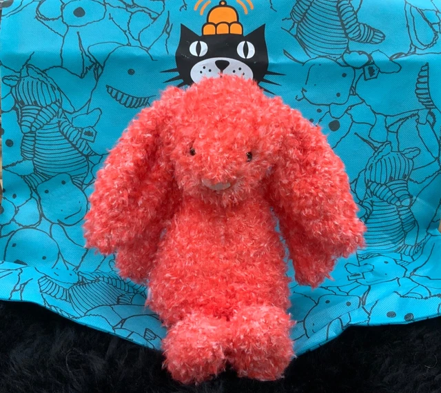 JELLYCAT BASHFUL HOLLY Bunny. Very Special. Rare and Retired BNWT. Kept ...