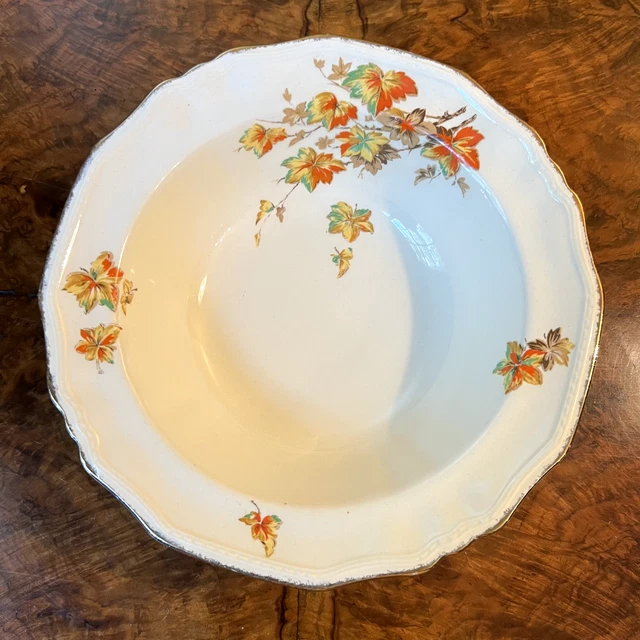 VINTAGE J & G Meakin Autumn Print Serving Bowl EUR 39,98 - PicClick FR