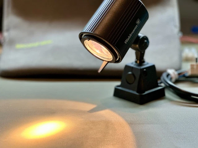 WALDMANN HIXF 20 S Maschinen-Halogenleuchte 24° Optik 24V AC/DC 23W EUR ...