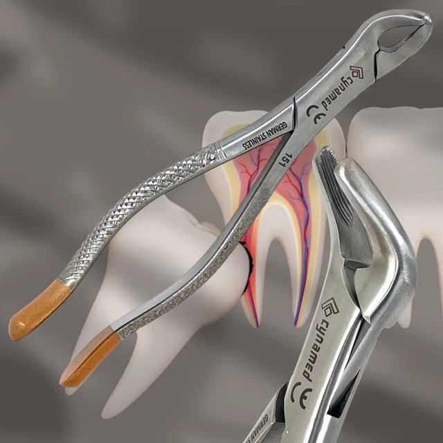 151 EXTRACTION FORCEPS Mandibular Lower Upper Incisor Root Tooh Surgery ...
