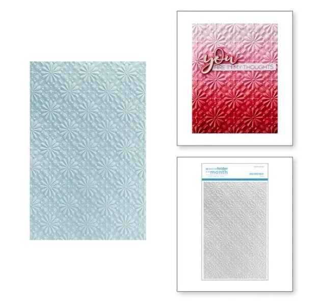 SPELLBINDERS 3D EMBOSSING Folder of Month Club "Criss Cross Motif" Nov ...