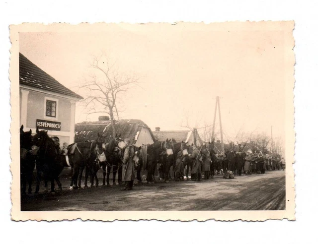FOTO DEUTSCHE GRENZE bei Liboch Böhmen Liběchov 1939 EUR 4,90 - PicClick DE