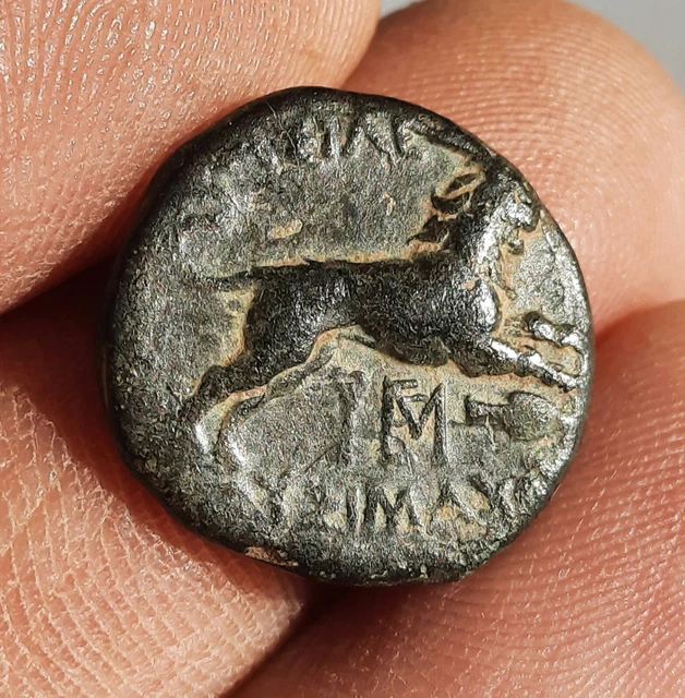 ROIS DE THRACE. Lysimachos, 305-281 Bc. Athena/Lion Reverse. EUR 60,00 ...