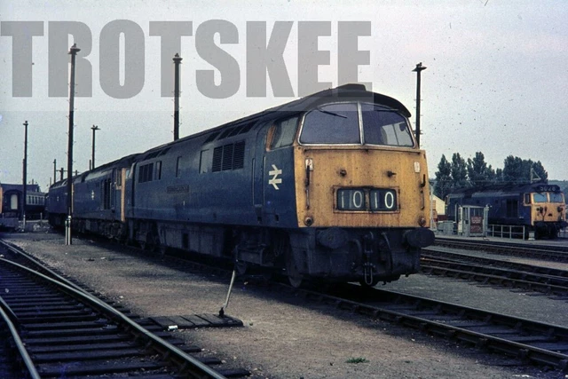 35MM SLIDE BR British Rail Diesel Loco Class 52 Western D1010 Newton ...