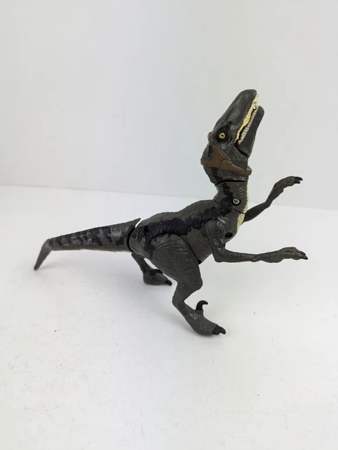 Velociraptor From Jurassic World