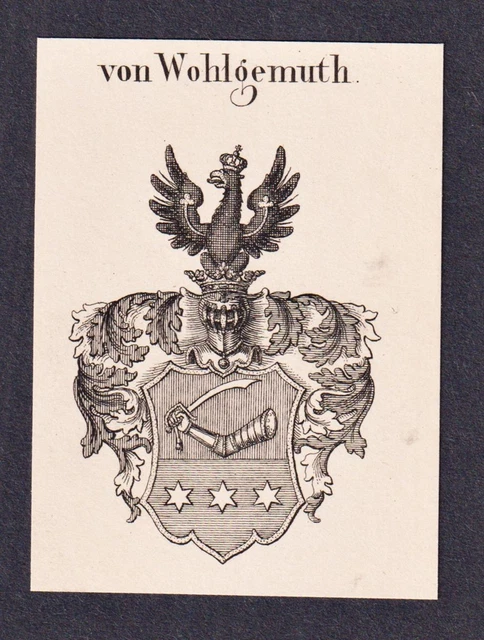 WOHLGEMUTH WAPPEN COAT of arms Heraldik heraldry Genealogie Kupferstich ...