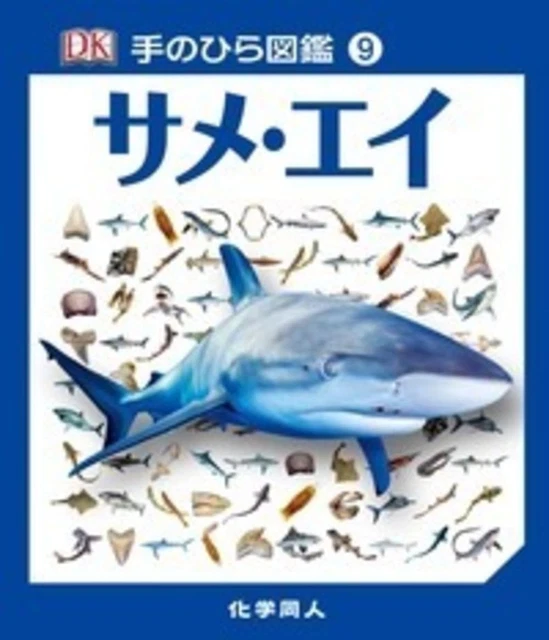 &SHARKS AND RAYS& Palm-Sized Encyclopedia Vol.9 Japanese Book £19.96 ...