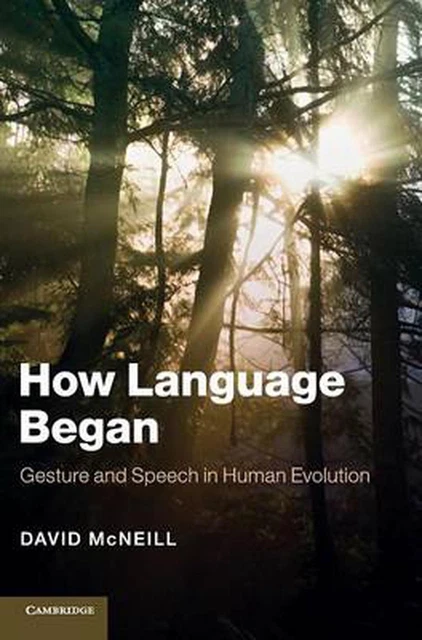HOW LANGUAGE BEGAN: Gesture and Speech in Human Evolution by David ...