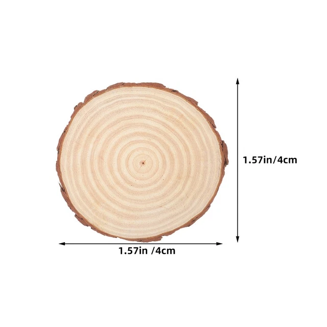 20 PCS NATURAL Wood Slices Unpainted Round Wooden Discs for Crafts $23. ...