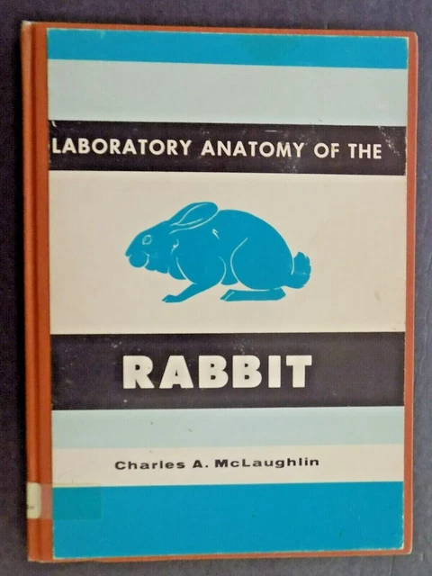LABORATORY ANATOMY OF The Rabbit $8.99 - PicClick