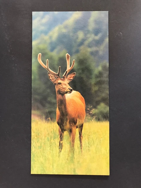 NESTLE - CARTE Merveilles du Monde - N°325 - Le Cerf EUR 2,00 - PicClick FR