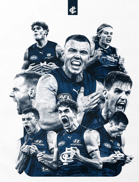 CARLTON BLUES TEAM player poster ,BARGAIN ,afl football finals 2 EUR 6 ...