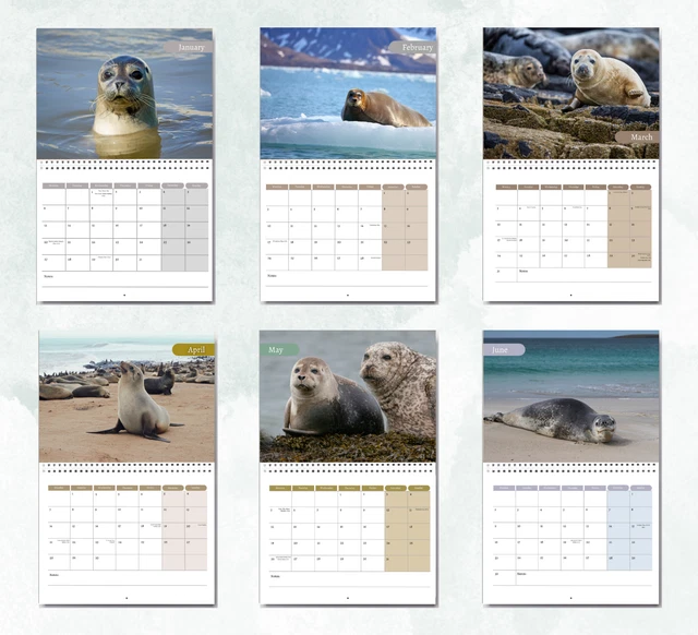 SEAL CALENDAR 2026: Monthly Wall Calendar with Notes, opens to A3 Size ...