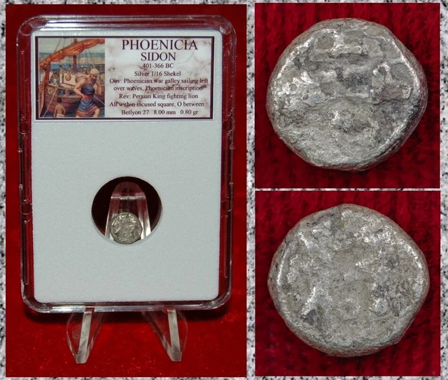 ANCIENT COIN PHOENICIA Sidon Galley King Fighting Lion Silver 1/16 ...