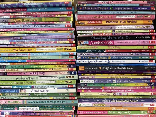 BULK/HUGE LOT-100 CHILDREN'S Early Chapter Books-Random Mix-Instant ...