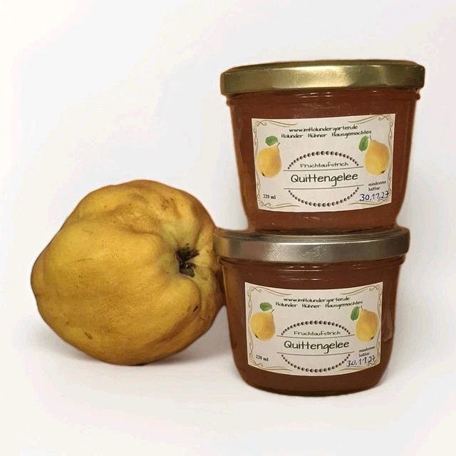 HAUSGEMACHT 🍑 310 g Quittenbrot Quittenterrine Quittenkäse Quitten ...