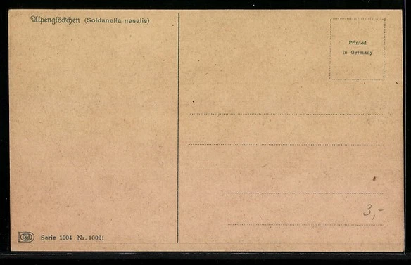 CARTOLINA D'ARTISTA JOSEPH Goller: Alpengöckchen, padrona di casa porta ...