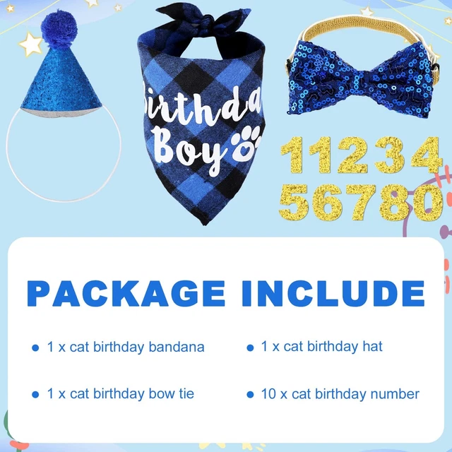 CAT BIRTHDAY PARTY Supplies with Hat, Scarf, Tie & Bandana - Cat Themed ...