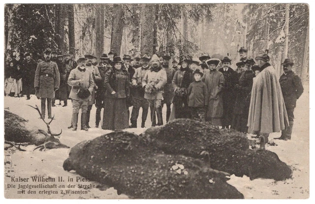PLESS O.S. - Kaiser Wilhelm Ii Mit Jagdgesellschaft - Details S ...