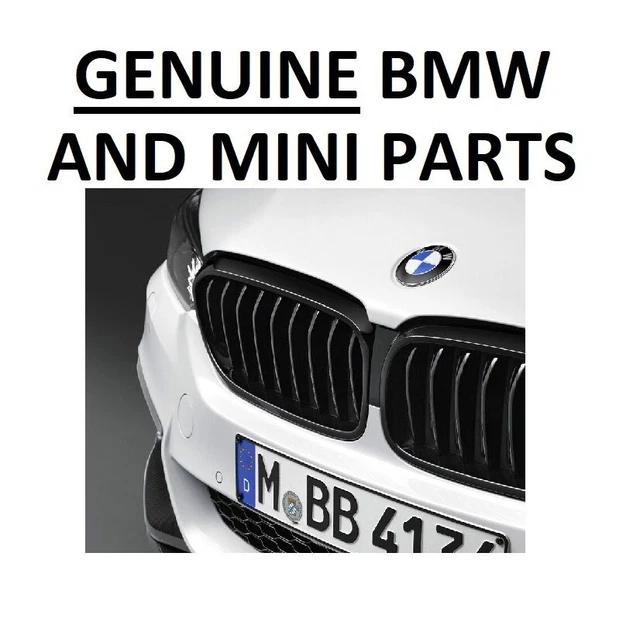 GENUINE BMW G30, G31, 5 Series M Performance, Grille 51712430994. Right ...