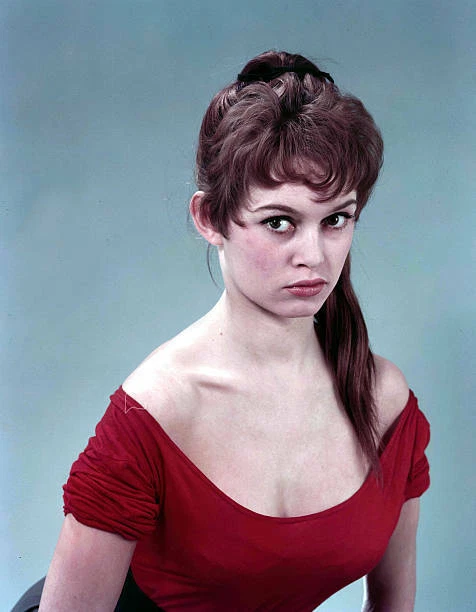 Picture Of French Actress Brigitte Bardot Pouting To The Camera Old