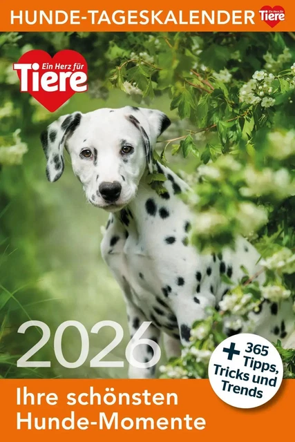 HUNDE TAGESKALENDER 2026 Kalender 365 S. Deutsch 2026 Bruckmann Verlag ...