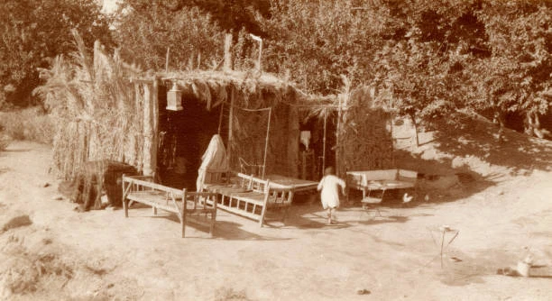 ARAB HUT IN an orange grove Baghdad Iraq 1915 Old Photo $9.00 - PicClick AU