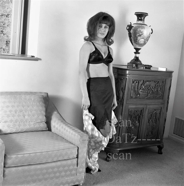 1960s Negative Sexy Brunette Pinup Girl Sherry Stevens Cheesecake