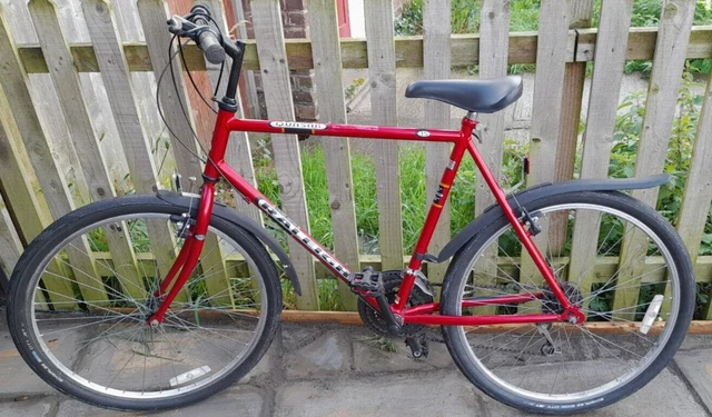 RALEIGH QUASAR LIMITED edition road bike. twist grip gears, 15 spd 26 ...