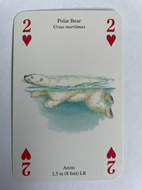 POLAR BEAR HERITAGE World Famous Whale Dolphin Art John Denaro Playing ...