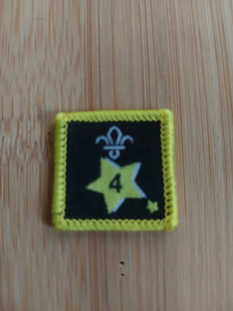 CURRENT UK SCOUTING Joining In Year Badges NEW LOGO Year 4 £1.00 ...