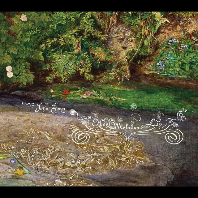 JULIAN LAGE AND Gyan Riley Her Melodious Lay (CD) Album EUR 30,16 ...