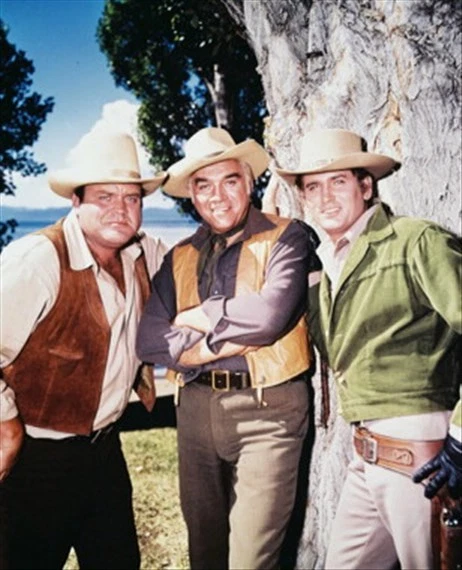 DAN BLOCKER COMME Eric ' Hoss' Cartwrig Affiche Imprimé 61x50.8cm Joli ...