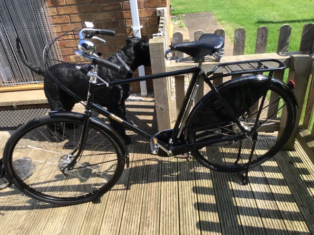 PASHLEY ROADSTER CYCLE 3 speed black 22 inch frame. Mint. £325.00 ...