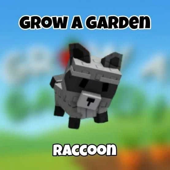 GROW A GARDEN: Ascended raccoon EUR 70,00 - PicClick DE