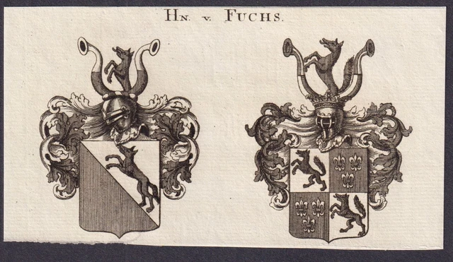 FUCHS ARMOIRIES COAT Of Arms Adel Héraldique Gravure sur Cuivre 1820 ...