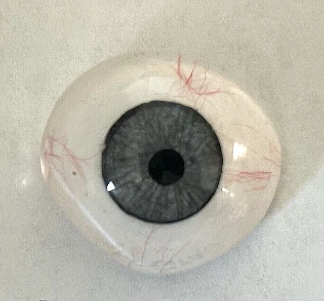 PROSTHETIC EYE SLATE GRAY SHADE Ocular Human Realistic Artificial ...