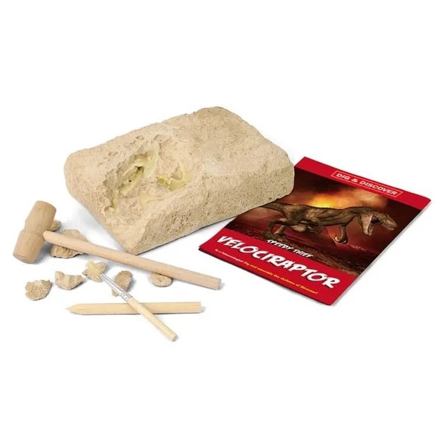 KIDS DINOSAUR FOSSIL Digging Kit, Dig Up Dinosaurs Skeleton Set, Dino ...