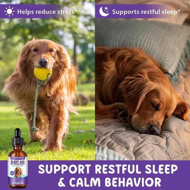 SLEEP AID FOR Dogs & Cats - Relaxation & Stres, Anxiety Relief & Sleep ...