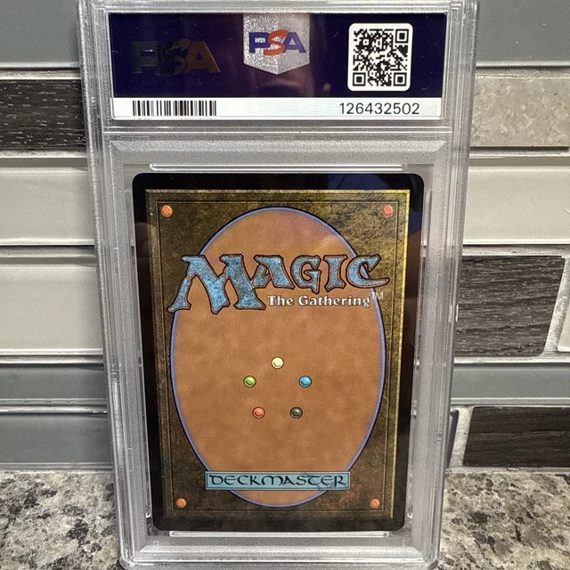 MAGIC THE GATHERING 2025 Borderless Celes Rune Knight Surge Foil Card ...