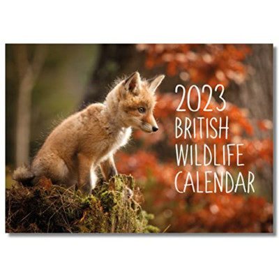 2023 A4 BRITISH Wildlife Calendar. One Month to View. Wall Calendar by ...