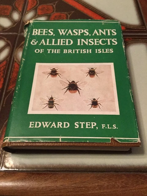 BEES WASPS ANTS Allied insects of the British Isles by Edward Step 1932 ...
