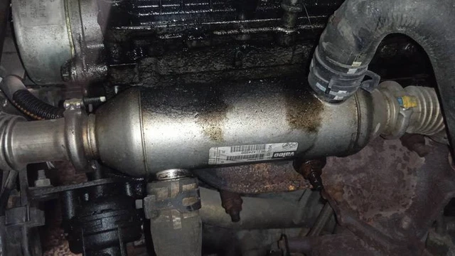 9631424880 REFROIDISSEUR EGR pour la récupération 861068Z 4HX f ...