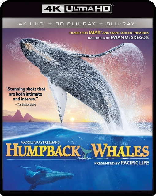 IMAX: HUMPBACK WHALES (4K UHD Blu-ray) Ewan McGregor EUR 39,79 ...
