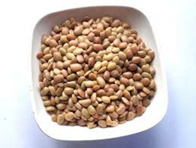 KULTHI/HORSE GRAM/KULEETH /MACROTYLOMA Uniflorum, Herbes fraîches ...