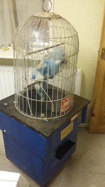 VINTAGE GLENDALE TALKING Parrot Coin Operated Arcade Vending Machine £ ...